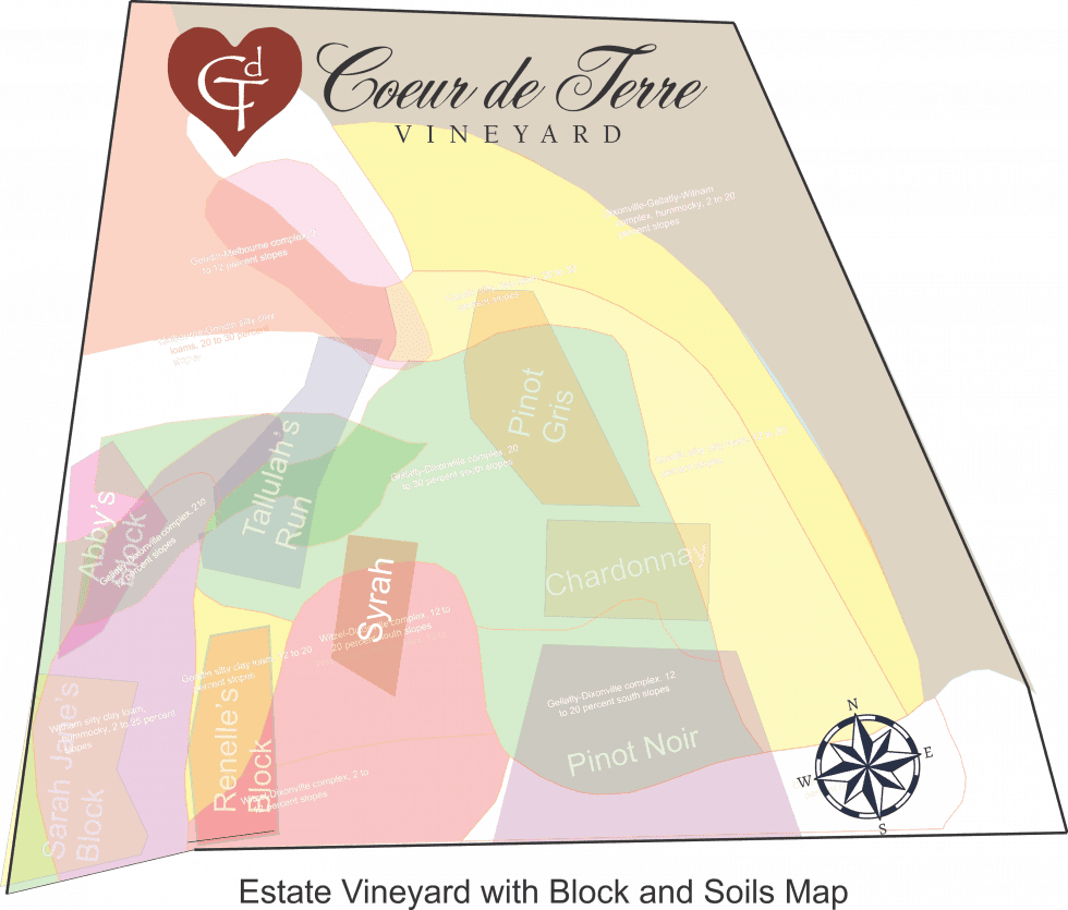 Vineyards - Coeur de Terre Vineyard